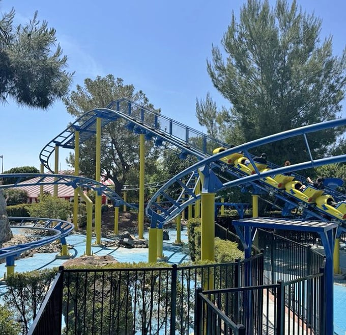 The blue and yellow roller coaster delivers family-friendly thrills without the three-hour wait times of those "other" Southern California parks.