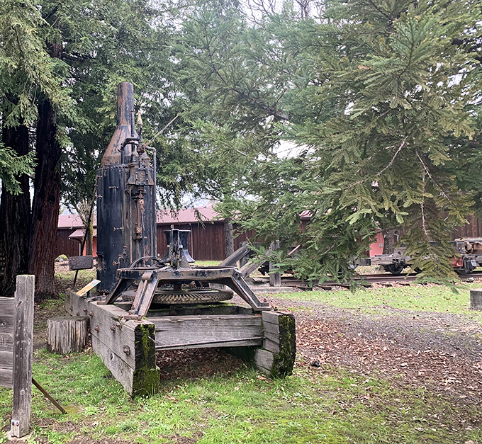 Roots of Motive Power museum showcases logging equipment that shaped the region, where industrial history meets outdoor museum charm.