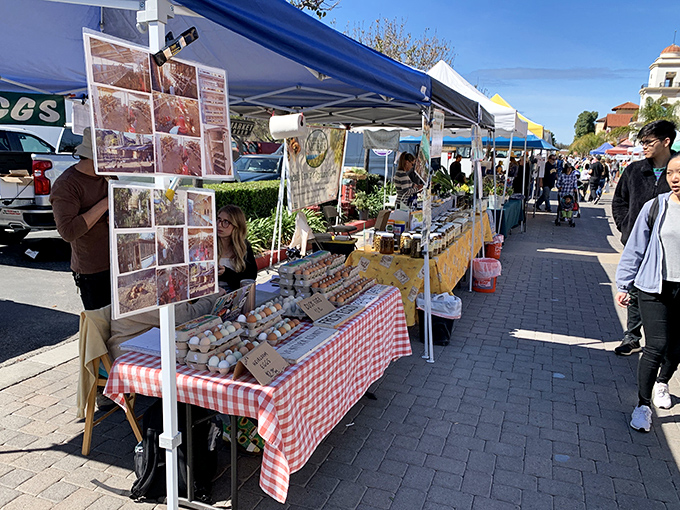 The farmers market transforms ordinary pavement into a festival of flavors, where checkered tablecloths signal "these eggs didn't come from a factory."