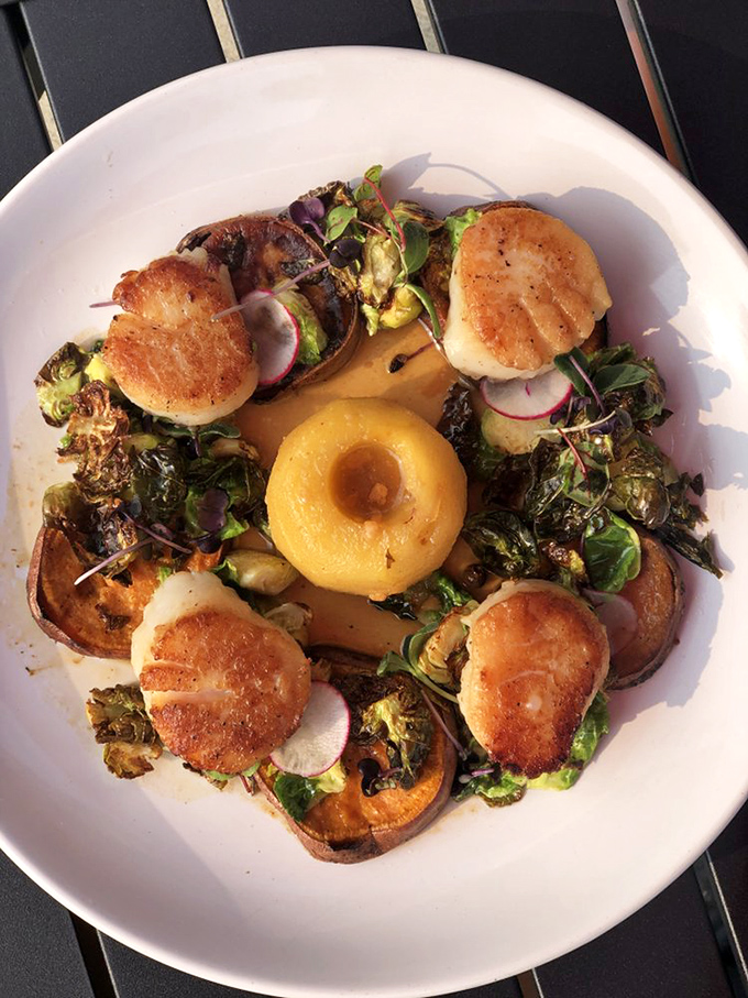 Perfectly seared scallops arranged like edible art, surrounded by sweet potato and greens&mdash;proof that sometimes the most beautiful circles aren't found in geometry class. 