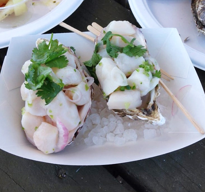 Two oysters cradling pearly white scallop ceviche on a bed of ice. Simplicity that whispers rather than shouts, letting the ocean do the talking.
