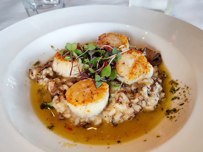 Scallops seared to perfection, each one a buttery medallion of "why didn't I order two?"