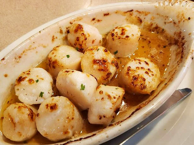 Scallops that look like they just had a perfect first date with butter—golden-kissed exteriors hiding that sweet, tender interior.
