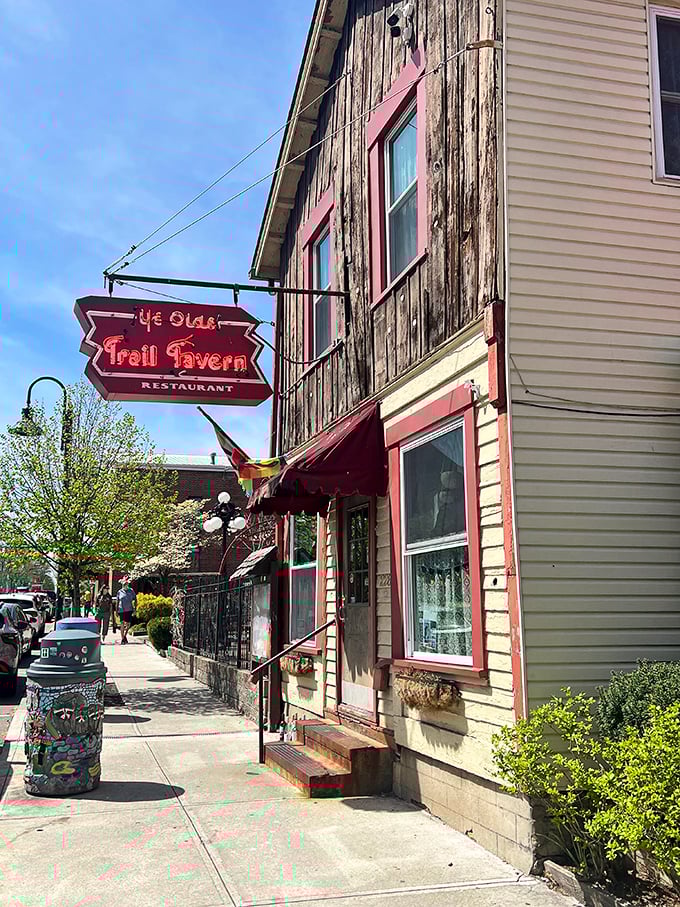 Tree-lined streets create natural canopies that make every walk feel like a gentle hug from Mother Nature.