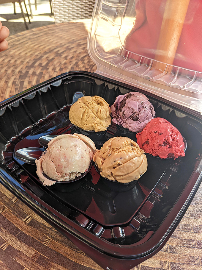 Five perfect scoops lined up like colorful soldiers, ready to battle the heat of an Ohio summer day.