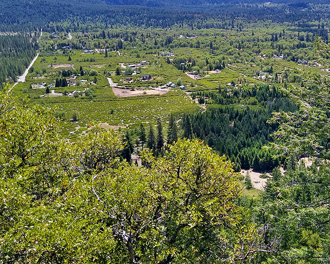 An aerial view that proves Mount Shasta isn't just a town—it's a green oasis nestled among nature's finest landscaping work.