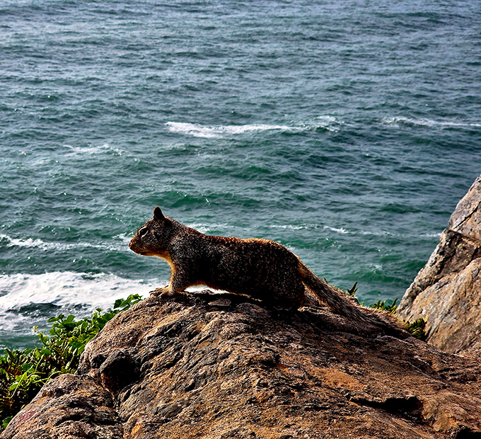 This local resident clearly has opinions about your trail mix selection and isn't shy about sharing them.