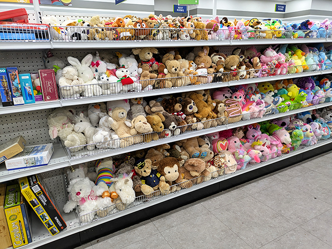 A stuffed animal menagerie awaits adoption, their button eyes silently pleading, "Take me home!" from behind their wire enclosure.