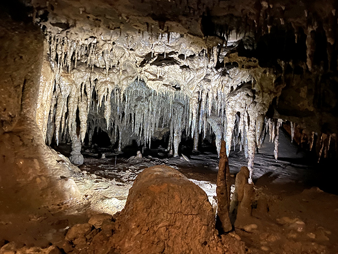 A frozen waterfall of stone that never stops flowing. These delicate stalactites have been growing just one drop at a time for thousands of years.