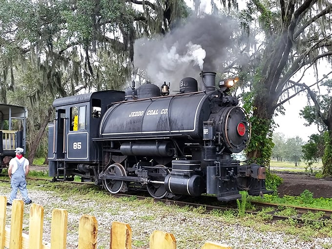 Steam billows dramatically from this beautifully preserved locomotive, a magnificent iron horse that once connected Florida's communities.. steam train