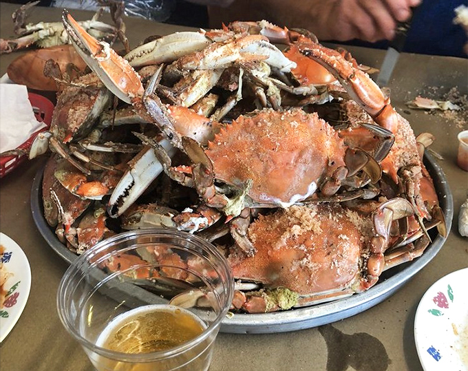 This mountain of steamed blue crabs isn't just dinner&mdash;it's an interactive experience where the reward is sweet, succulent meat.