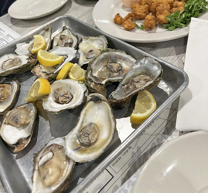 Oysters on the half shell &ndash; nature's perfect appetizer. Just a squeeze of lemon and you're tasting the Atlantic in all its briny glory