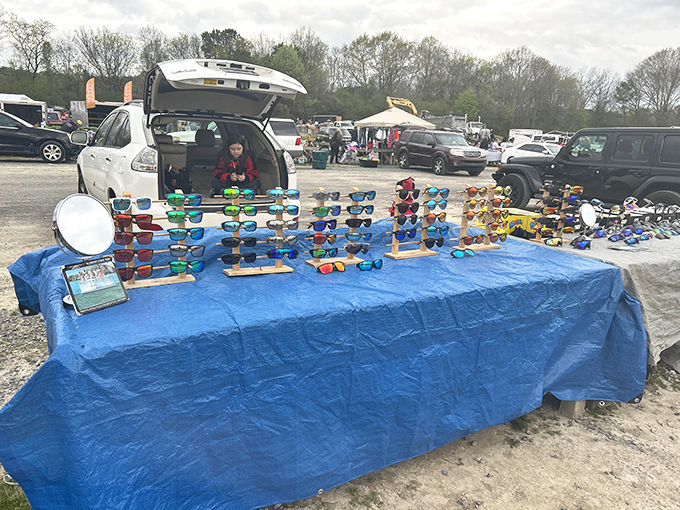 Sunglasses as far as the eye can see&mdash;which is pretty far when you're not squinting! Every style from classic aviator to futuristic fashion statement.