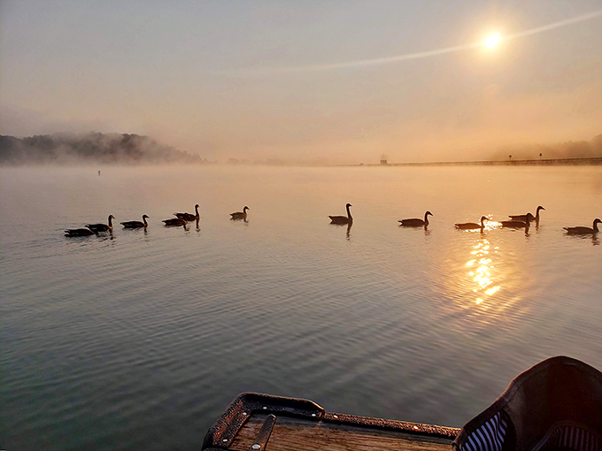 Local royalty gliding by like they're auditioning for a Disney movie—and absolutely nailing it.
