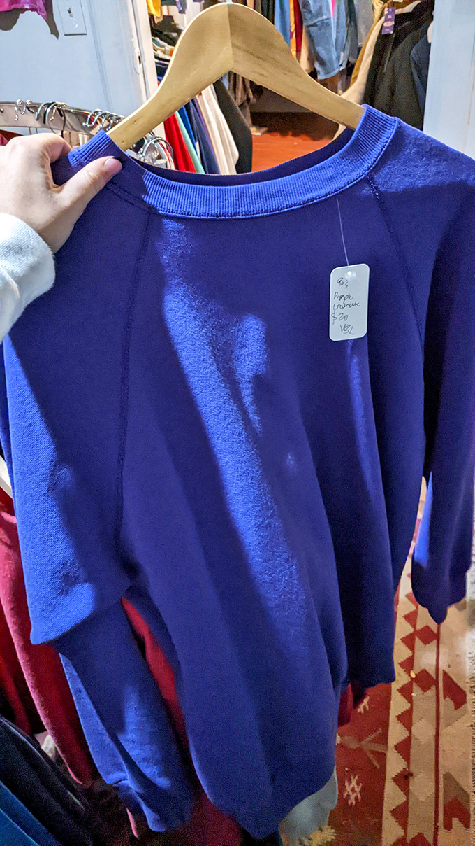 That perfect shade of cobalt blue sweatshirt isn't just clothing—it's the missing puzzle piece your wardrobe has been searching for.