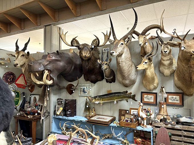 The world's most unusual hunting lodge display, where glass eyes follow you and you can't help wondering if they come alive at night.
