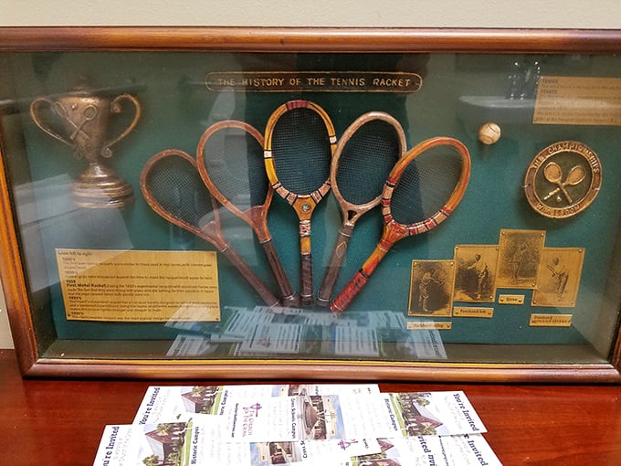 Not just tennis rackets&mdash;a time capsule of sporting evolution. This framed display proves even thrift stores can double as unexpected museums. 