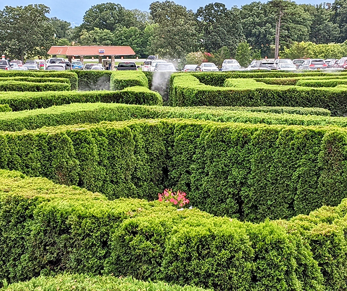 The Garden Maze at Luray Caverns&mdash;where adults can legitimately get lost for an hour and blame it on "complicated hedge architecture."