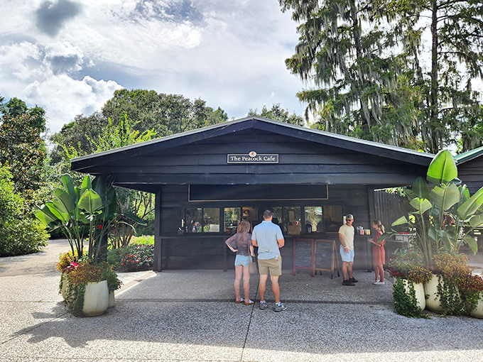 The Peacock Caf&eacute; offers a welcome respite after garden explorations, though the real stars are often strutting just outside.