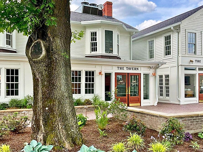 The Tavern On The Square stands ready to welcome hungry visitors with the kind of hospitality that chain restaurants try to fake.