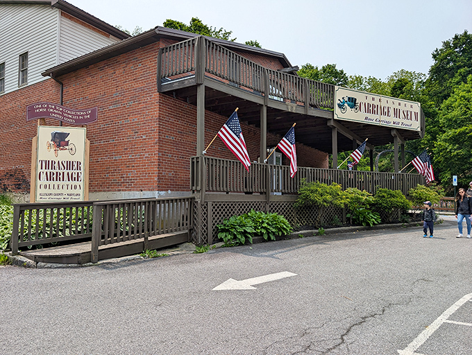 The Thrasher Carriage Museum showcases transportation history when horsepower meant actual horses, not monthly car payments from hell.