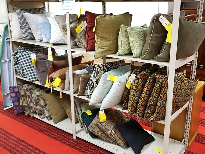 The throw pillow collection: where your couch goes to find its personality and your wallet doesn't need therapy afterward.