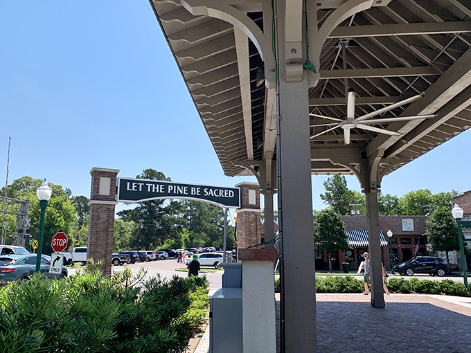 "Let the pine be sacred" – Summerville's motto celebrates the trees that give this Flowertown its distinctive character and clean air.