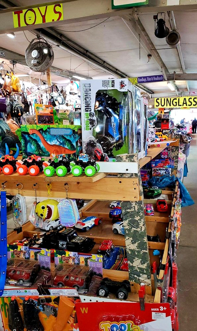 Toy wonderland where dinosaurs and monster trucks await their forever homes, proving some treasures don't require batteries or Wi-Fi.