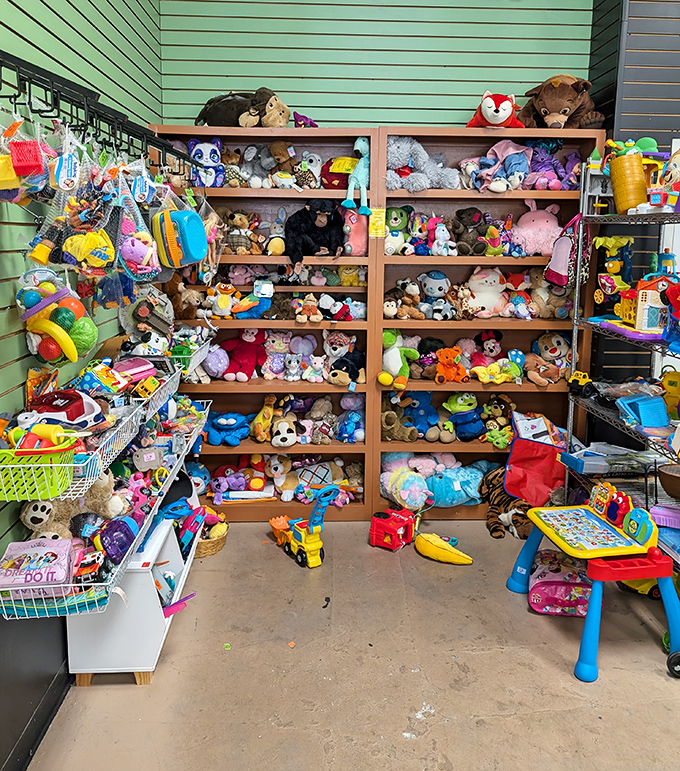 The island of misfit toys, where every stuffed animal gets a second chance at cuddles.