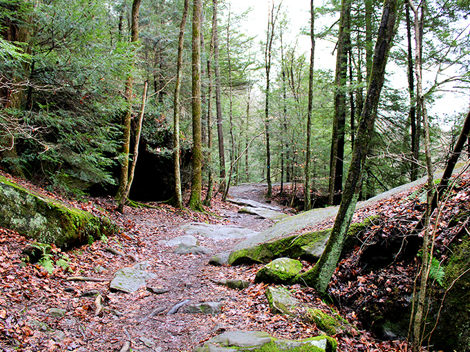 The forest trails surrounding the bridge offer a choose-your-own-adventure experience through fern-covered hillsides and moss-draped boulders.