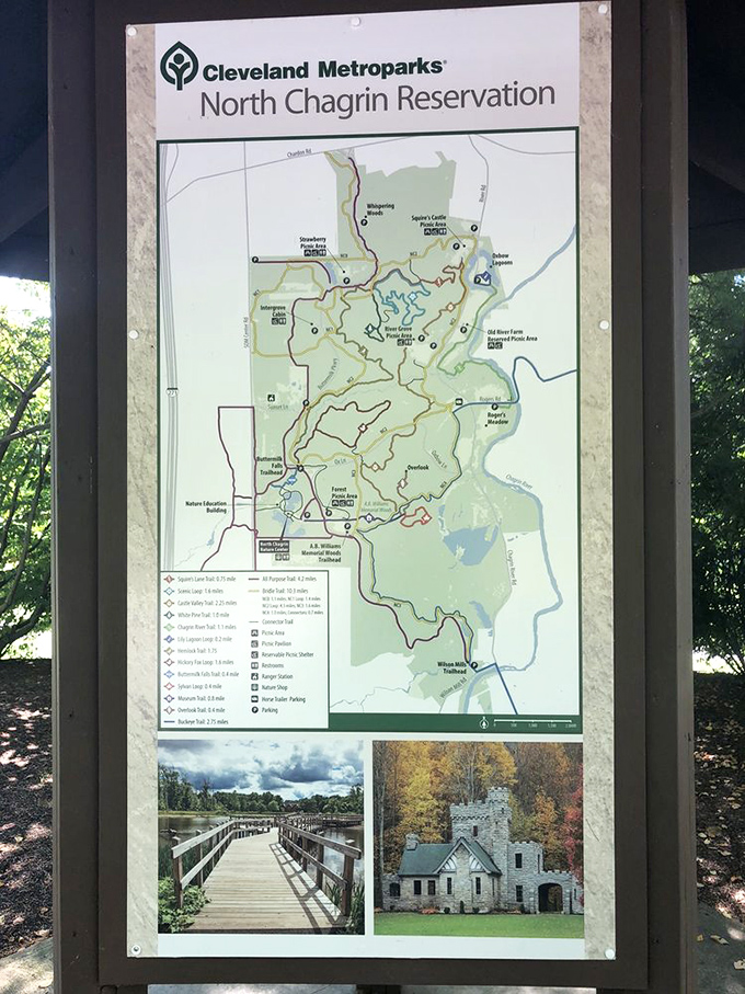 Not all who wander are lost, especially with this detailed trail map showing all the woodland adventures awaiting beyond Squire's Castle.