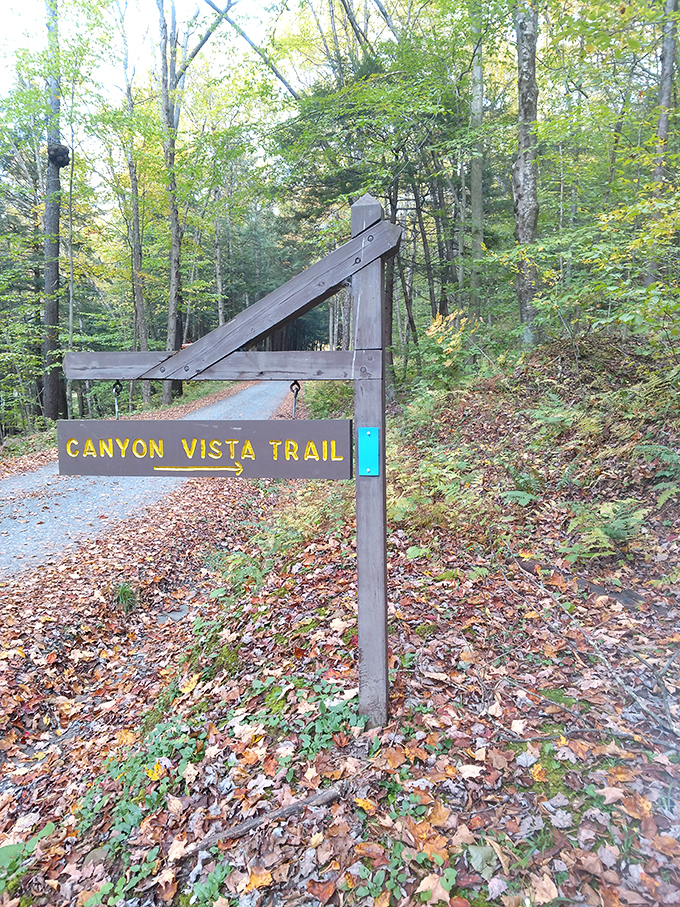The Canyon Vista Trail sign stands like a promise: follow me and I'll show you views that will make your Instagram followers weep with envy.