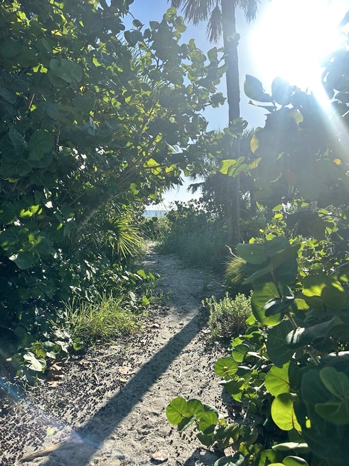 The path to happiness is sandy, shaded, and leads straight to turquoise water.