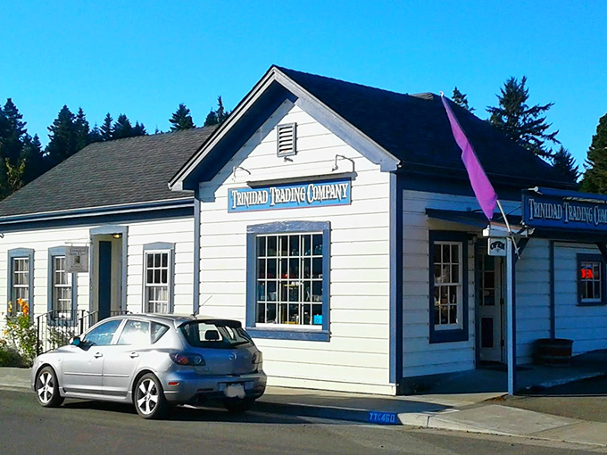 Trinidad Trading Company looks like it was plucked straight from a New England postcard, yet feels perfectly at home on California's north coast.