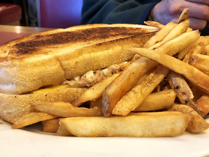 This tuna melt proves that simple ingredients can create something absolutely magical when done right.