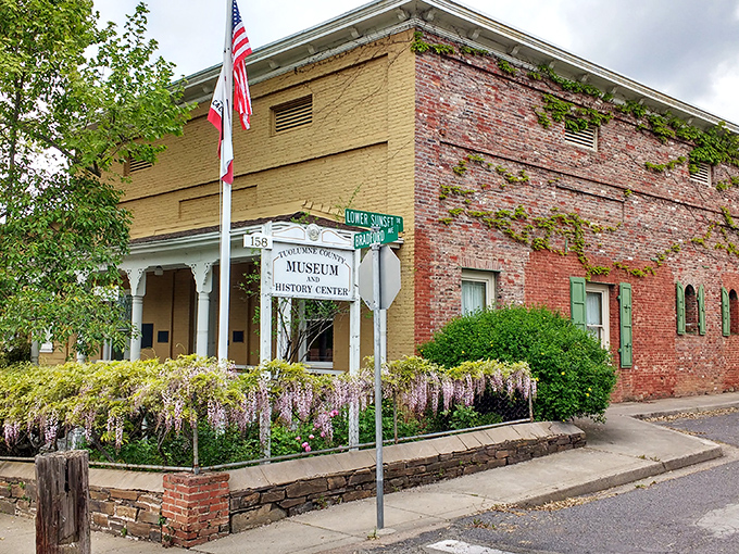 The Tuolumne County Museum's wisteria-draped entrance proves that history doesn't have to look stuffy to be significant.