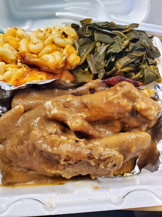 Turkey wings swimming in rich gravy demonstrate why this underrated cut deserves serious culinary respect.