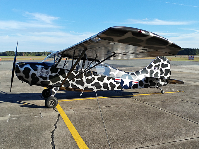 This cow-patterned observation aircraft proves that even in the serious world of aviation, there was always room for a touch of whimsy.