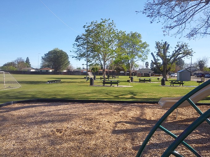 Venice Park's open green spaces and picnic tables create community gathering spots where conversations flow as freely as the California sunshine.