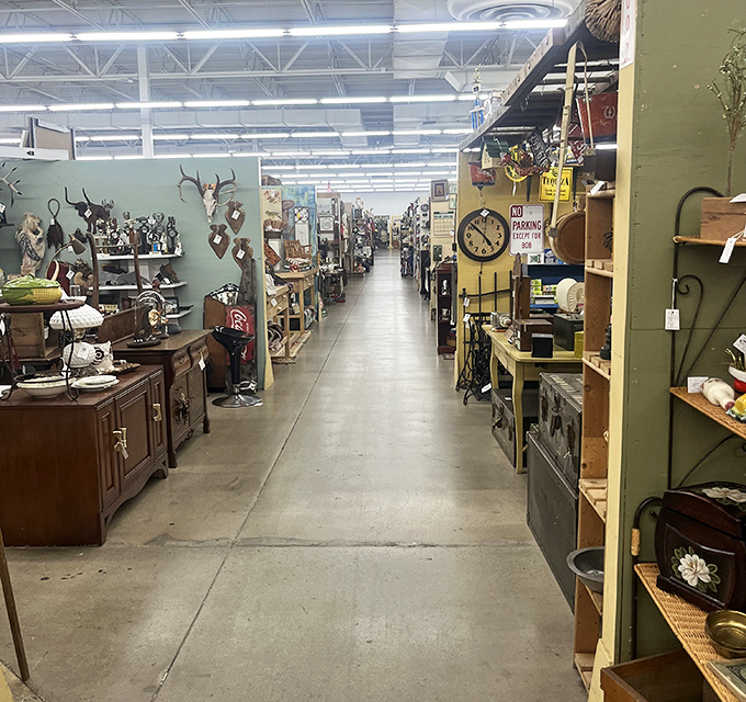 Navigating these aisles feels like exploring a small town where each booth is its own quirky neighborhood with distinct personality and unexpected charm.