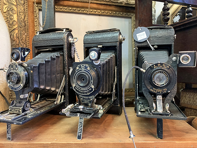 Before selfies, there were these mechanical marvels. These folding cameras captured weddings, birthdays, and awkward family portraits long before Instagram filters existed. 