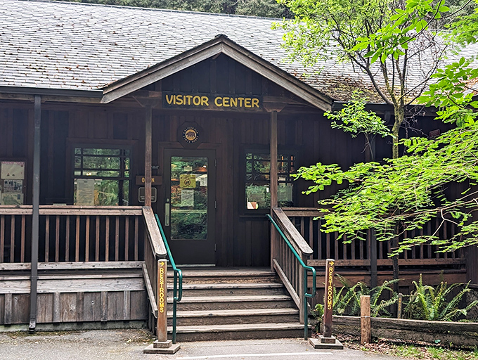 Not just a pit stop, but command central for your redwood adventure. Rangers inside have answers to questions you haven't even thought of yet. 