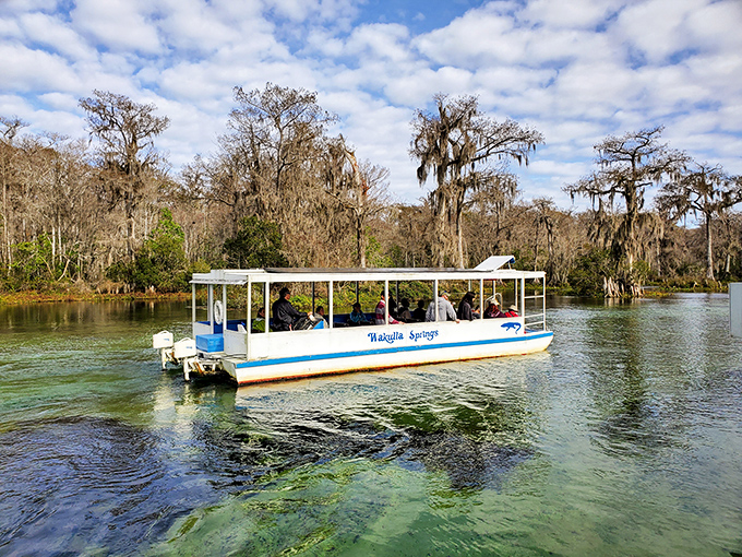 Tourist boats lined up like eager students waiting for nature's most spectacular classroom to begin.