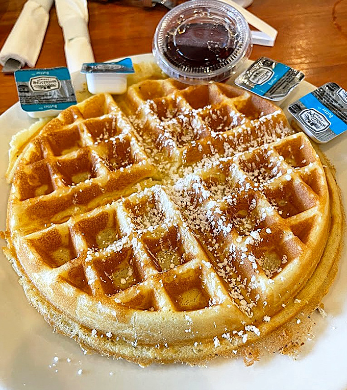 This golden waffle with its precise grid of syrup-catching squares is breakfast engineering at its finest. Crisp outside, fluffy inside&mdash;textbook perfection.