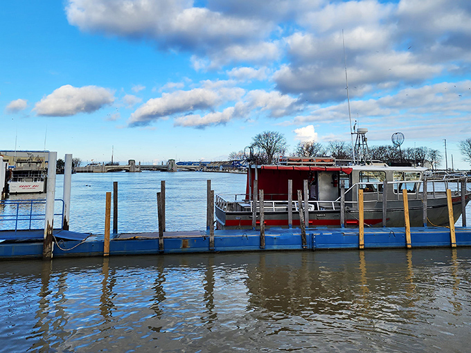 Fishing boats bob gently at their moorings, patiently waiting for tomorrow's adventure like retirees at an early-bird breakfast buffet.