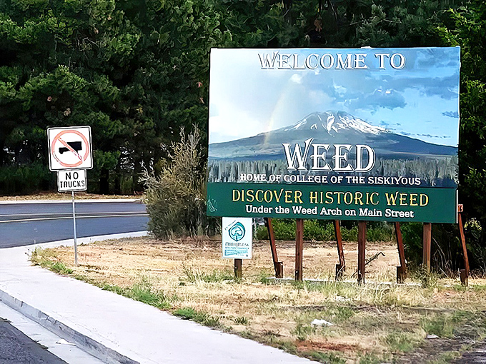 The welcome arch frames Mount Shasta perfectly, like nature's own picture postcard you can drive through.