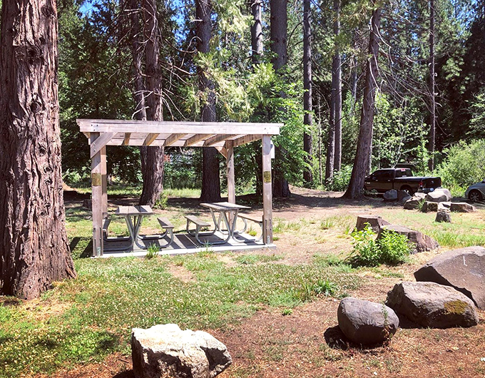 This picnic shelter has hosted more memorable family meals than any five-star restaurant. The pine-scented ambiance is complimentary.