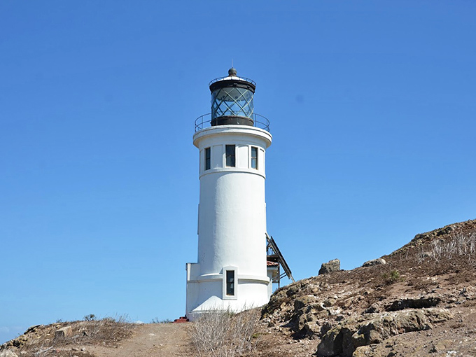 Postcard-perfect doesn't begin to describe this scene—the lighthouse's brilliant white form creates a striking contrast against the deep blue Pacific.