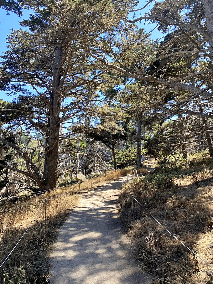 The trail beckons like a good mystery novel &ndash; you simply must discover what happens next. Spoiler alert: it's always worth the journey.