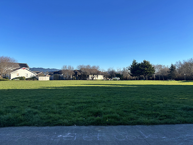 Open spaces like this remind us that sometimes the best neighborhood amenity is simply room to breathe and a horizon to contemplate.